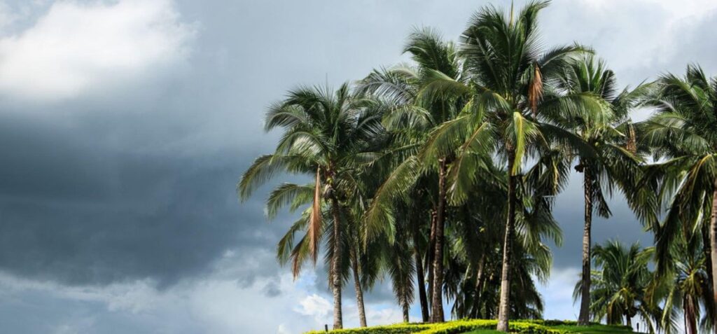 Boca Raton Weather and Its Impact on the Local Real Estate Market - KSR ...