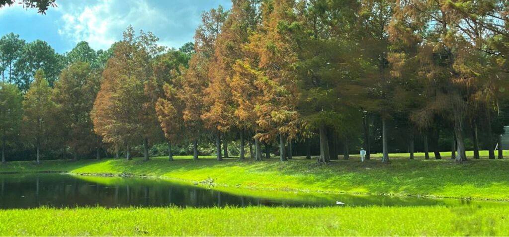 Nature and Recreation: Discovering Boca Raton's Best Parks and Beaches ...